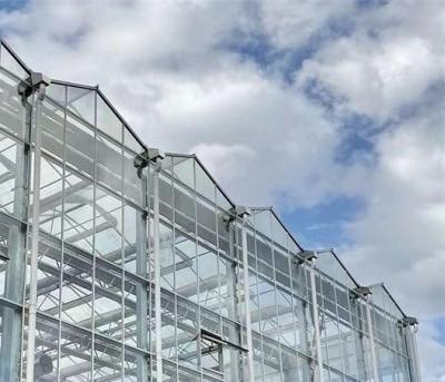 China Type Roof Hydroponics Growing System Suitable for Your Customer's Requirements for sale