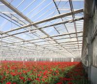 China Type Roof Hydroponics Growing System Suitable for Your Customer's Requirements for sale