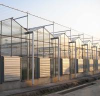 China Type Roof Hydroponics Growing System Suitable for Your Customer's Requirements for sale