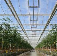 China Roofing Shape Multi Span Type Glass Greenhouse With Hydroponics for sale