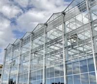 China Roofing Shape Multi Span Type Glass Greenhouse With Hydroponics for sale