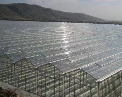 China Good Light Transmission Glass Cover Venlo Greenhouse with Customization Option for sale