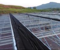 China Good Light Transmission Glass Cover Venlo Greenhouse with Customization Option for sale