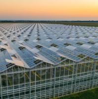 China Good Light Transmission Glass Cover Venlo Greenhouse with Customization Option for sale