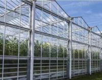China Good Light Transmission Glass Cover Venlo Greenhouse with Customization Option for sale