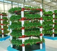 China Seeding/Vegetables/Fruit/Flower Controlled Environment Hydroponic Seedling Greenhouse for sale