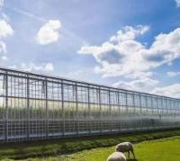 China Seeding/Vegetables/Fruit/Flower Controlled Environment Hydroponic Seedling Greenhouse for sale