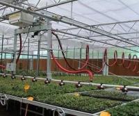 China Seeding/Vegetables/Fruit/Flower Controlled Environment Hydroponic Seedling Greenhouse for sale