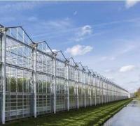 China Anti-Drip Fogging Hydroponic Seedling Structure Perfect for Customer Requirements for sale