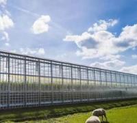 China Anti-Drip Fogging Hydroponic Seedling Structure Perfect for Customer Requirements for sale