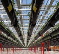 China Cultivation Method Hydroponics US Regulated Glass Greenhouse for Vegetable/Flower/Fruit for sale