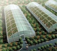 China Cultivation Method Hydroponics US Regulated Glass Greenhouse for Vegetable/Flower/Fruit for sale