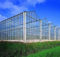 China Cultivation Method Hydroponics US Regulated Glass Greenhouse for Vegetable/Flower/Fruit for sale