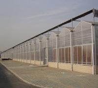 China Polycarbonate Sheet Greenhouse Green House Rdgu0808h-10mm with US and Farm Equipment for sale