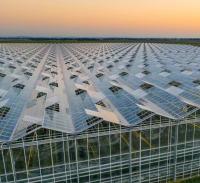 China Polycarbonate Sheet Greenhouse Green House Rdgu0808h-10mm with US and Farm Equipment for sale