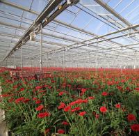 China Polycarbonate Sheet Greenhouse Green House Rdgu0808h-10mm with US and Farm Equipment for sale