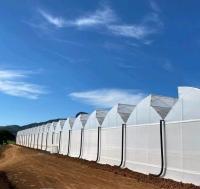 China Venlo-Style Roof Double Layer Plastic Film Hydroponic Seedling System for Agriculture for sale