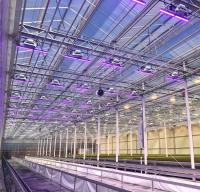 China Venlo-Style Roof Double Layer Plastic Film Hydroponic Seedling System for Agriculture for sale