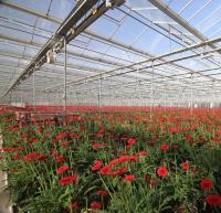 China Venlo-Style Roof Double Layer Plastic Film Hydroponic Seedling System for Agriculture for sale