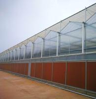 China Venlo-Style Roof Double Layer Plastic Film Hydroponic Seedling System for Agriculture for sale