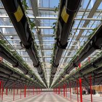 China Venlo-Style Roof Double Layer Plastic Film Hydroponic Seedling System for Agriculture for sale