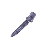 China Internal Fixation Spinal Screws Implants U-Multi-Axial Break Off Customize for sale