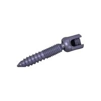 China Internal Fixation Spinal Screws Implants U-Multi-Axial Break Off Customize for sale