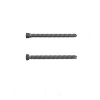 China Titanium Alloy Anodizing Orthopedic Locking Plate Cannulated Compression Screw for sale