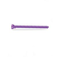 China Titanium Alloy Anodizing Orthopedic Locking Plate Cannulated Compression Screw for sale