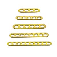 China 2.7s Titanium Mini Locking Plate Surgical Fixation Medical Instruments for sale