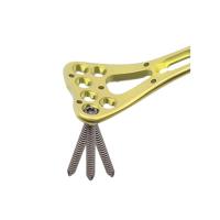 China Orthopedic Implants Trauma Plate Distal Radius Multi-Axial Locking Plate for sale