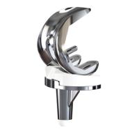 China Artificial Knee Joint SKII CR Femoral Condyle for sale