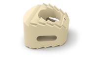 China White PEEK Lumber Cervical Spine Fusion Devices Type I 16*13mm for sale