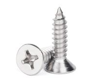 China DIN965 Cross Recessed Countersunk Head Micro Screws M0.5-M3.0 Custom Sizes for Precision Assembly for sale