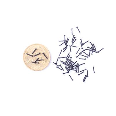 China Precision Hex Head Screw M0.6-M3 Torx Stainless Steel for Computer Phone Watch for sale