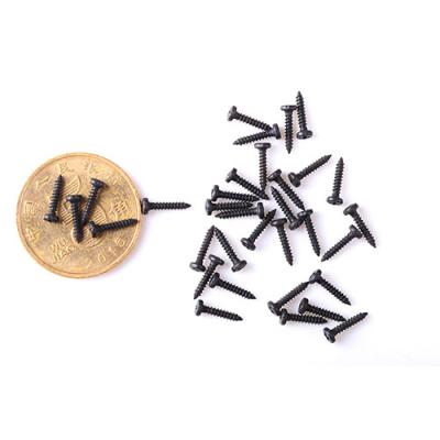 China M1 M1.2 M1.4 M2 Pan Head Phillips Half Thread Stainless Steel 304 316 Tiny Micro Screw Fasteners for sale