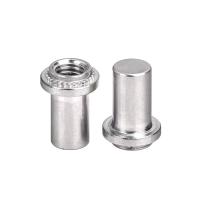 China Special Shape TPS Flush-Mounted Pilot Pins Use for Motorcycle Customized Service for sale