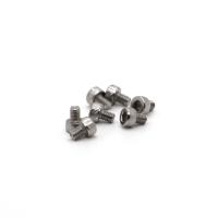 China Precision Micro Screw M0.5 M3.0 for Automobile Parts Customized Stainless Steel Machine Screw for sale