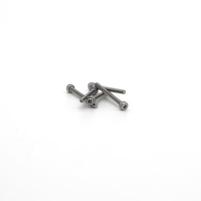 China Alloy Steel Nickel Plated Precision Micro Screws M0.5 M3.0 Cylindrical Head Machine Screw for Gas Meter Custom for sale