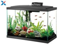 China Rectangular Large Acrylic Fish Tank / Clear Acrylic Fish Tank For Aquarium for sale