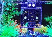 China Aquarium Acrylic Modern Furniture / Clear Acrylic Isolation Box For Baby Fish for sale