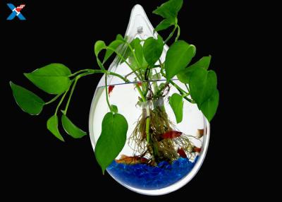 China Clear Acrylic Drip Wall Hanging Fish Tank Aquarium / Custom Acrylic Fish Tanks for sale