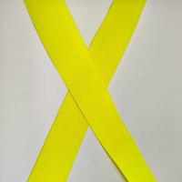 China Custom Logo Elastic Yellow Reflective Webbing 1 Inch for Bags Garment Belts Hats for sale
