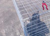 China Welded Gabion Cage for sale