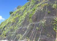 China Rockfall Protection Netting for sale