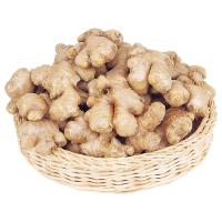 China Crop Air Dry Ginger for 150G Up Variety Young Ginger for sale