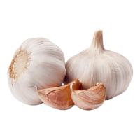 China Address Liliaceous Vegetables Bulk Fresh Normal White Garlic in 10kg Boxes from Chinese Direct for sale