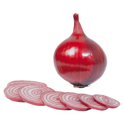 China Shandong Address Red or Yellow Onions in Bulk for Your Business Needs for sale