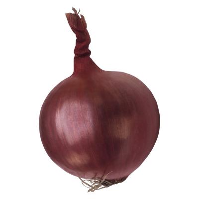 China Cryostat Storage Type Onion Red Onion Not Seeds Best for 25kg Weight for sale