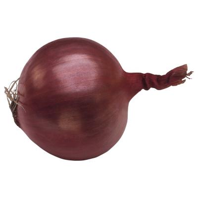 China 3-10cm and up White Onions The Essential Ingredient for Your Vegetable Recipes for sale